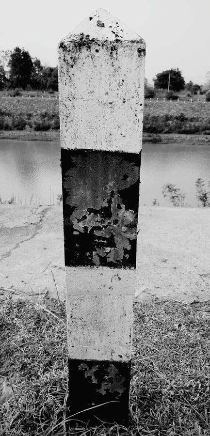 Zebra pole stock photo. Image of white, pole, zebra - 144025506