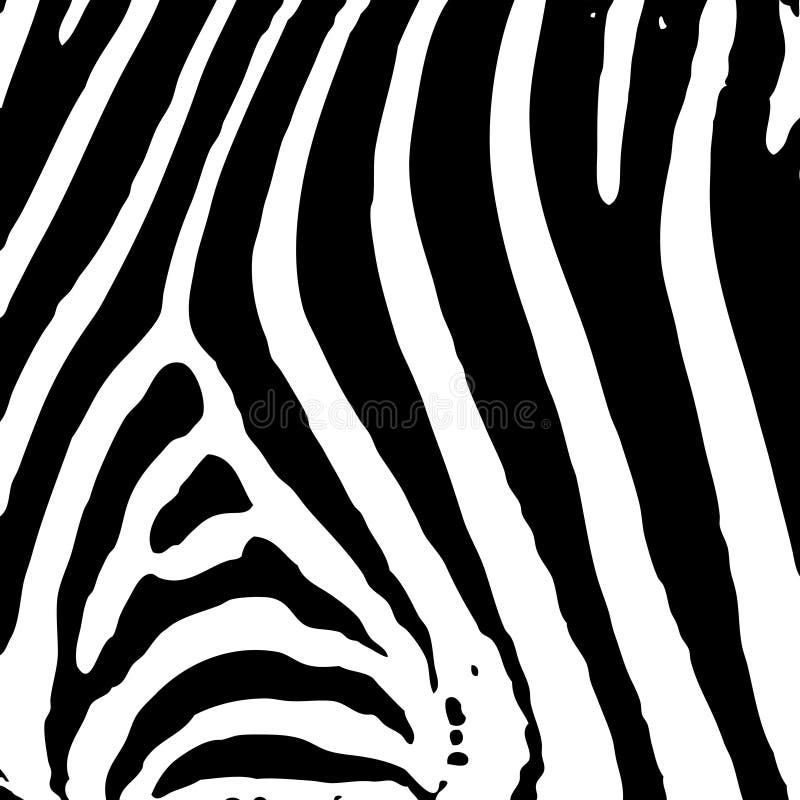 Zebra print stock vector. Illustration of wallpaper, tile - 9391241