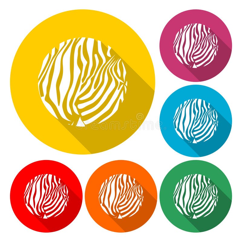 Zebra Print - Illustration stock vector. Illustration of frame - 145462420