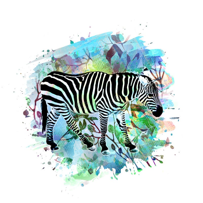 Zebra with Reflection Color Art Colorful Splashes Stock Illustration ...