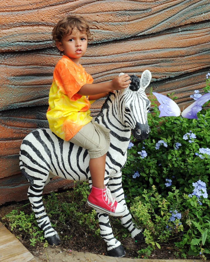 Zebra Rider stock image. Image of male, sitting, shorts - 10853049