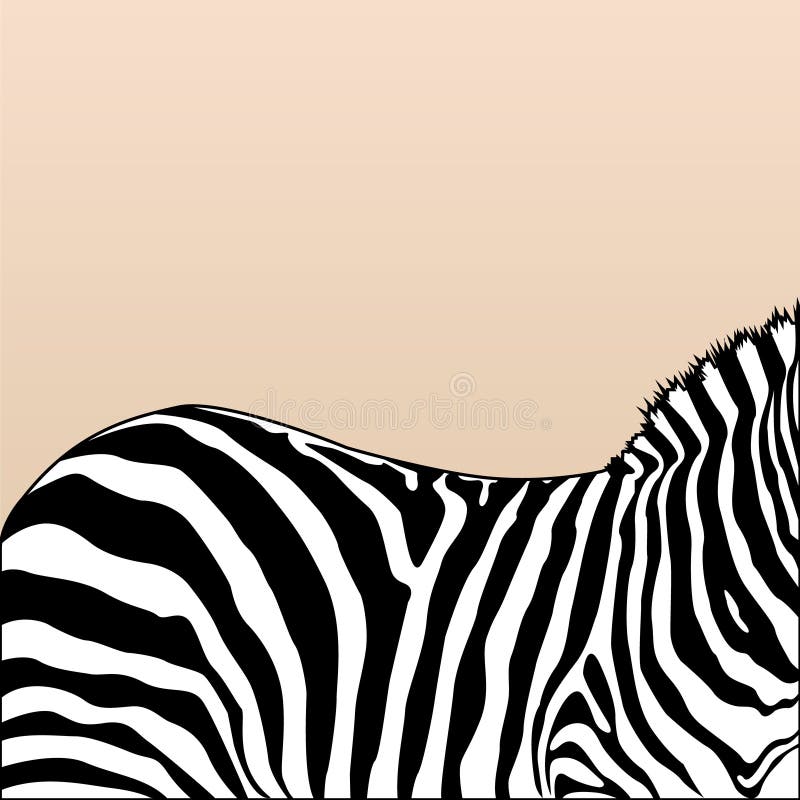 Zebra`s Back Silhouette Isloated. Stock Vector - Illustration of ... Zebra`s Back Silhouette Isloated. Stock Vector - Illustration of ...