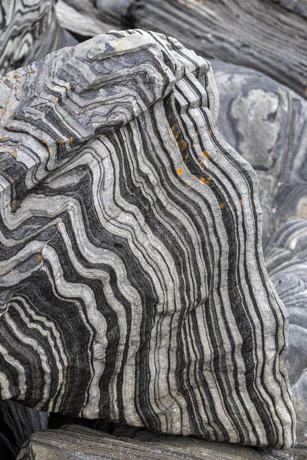 Zebra Schist Stock Photos - Free & Royalty-Free Stock Photos from ...