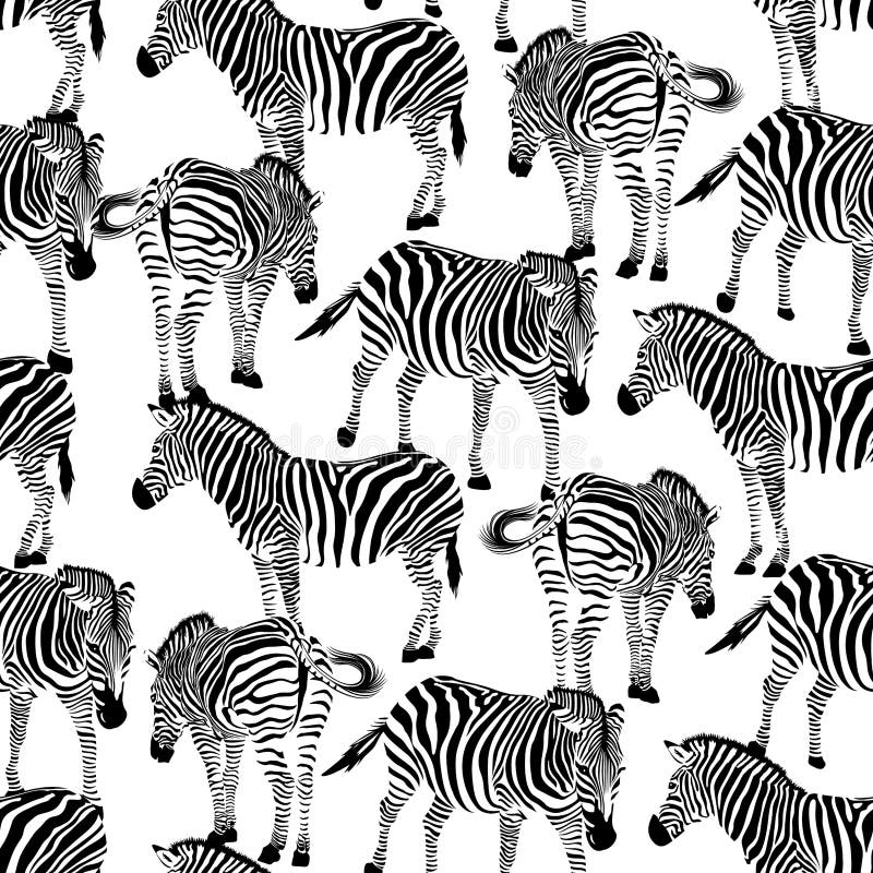 Zebra Seamless Pattern. Wild Animal Texture. Stock Vector ...