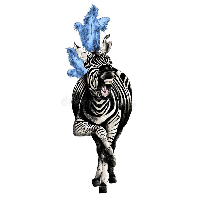 Zebra in Circus stock illustration. Illustration of caricature - 20247932