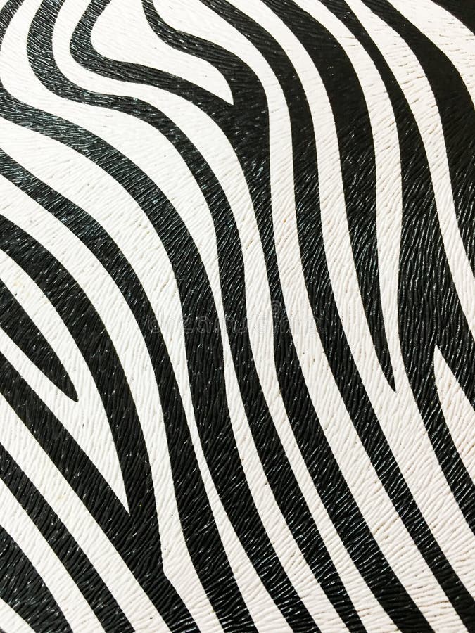 Zebra skin background. stock image. Image of nation, nationality - 73156973