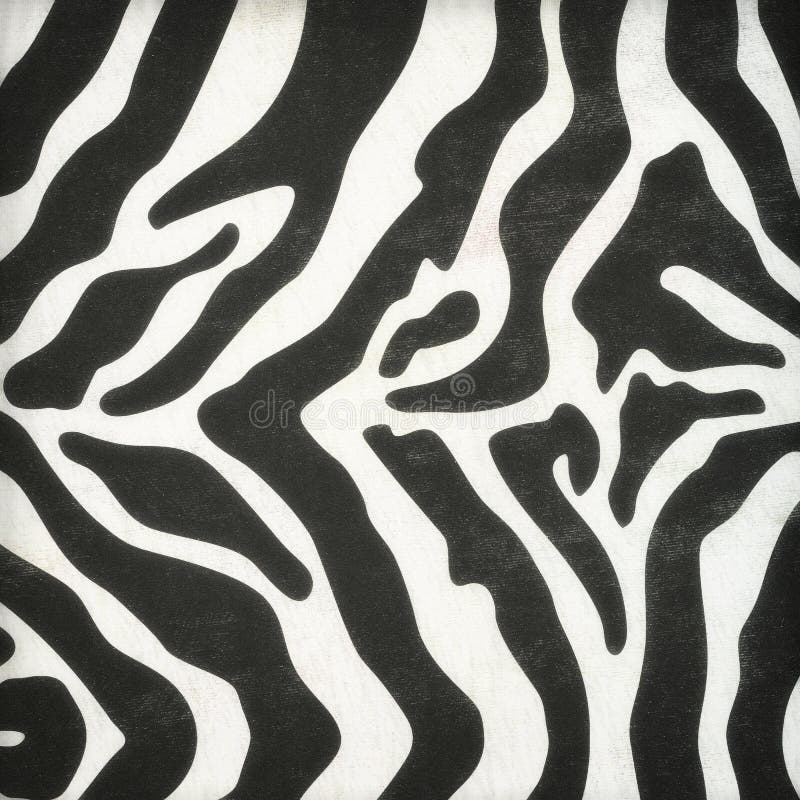 Zebra skin pattern stock image. Image of safari, decoration - 34597131