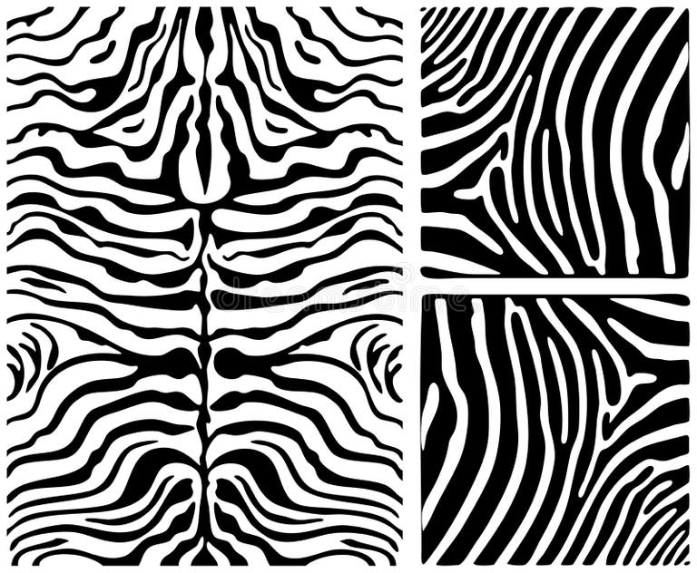 Zebra Format Stock Illustrations – 647 Zebra Format Stock Illustrations ...