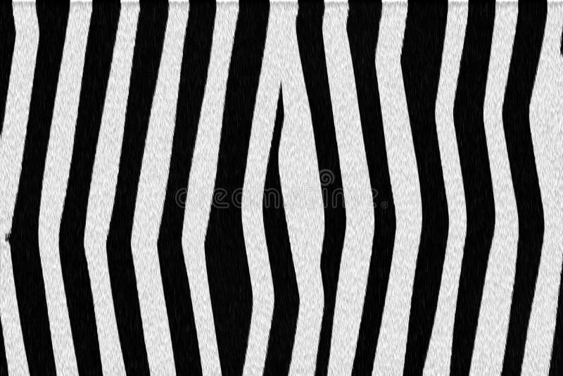 Zebra skin texture stock illustration. Illustration of camouflage ...