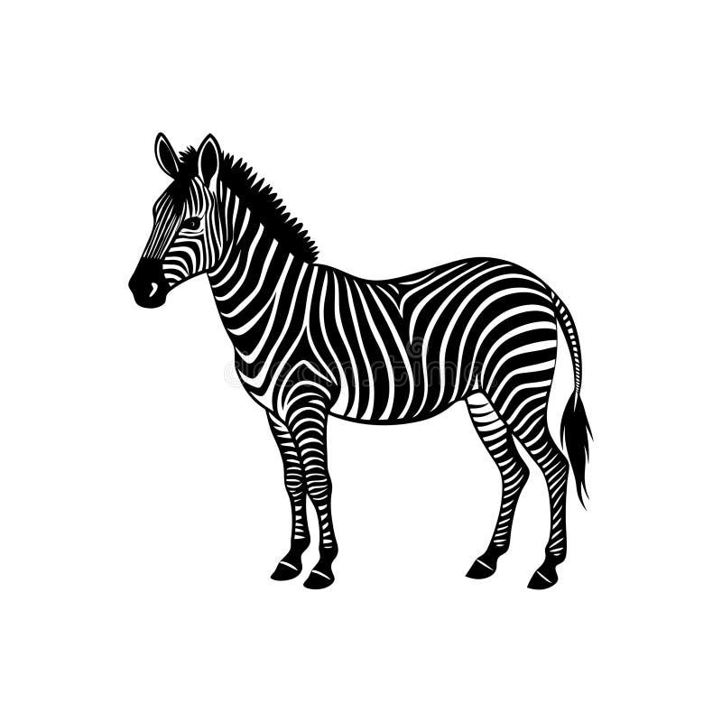 Zebra Standing Stock Illustrations – 4,768 Zebra Standing Stock ...