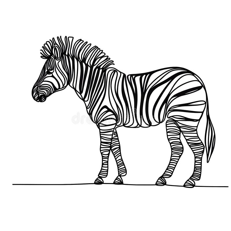 A Zebra Standing on a Plain White Background. the Zebra Has a Black and ...