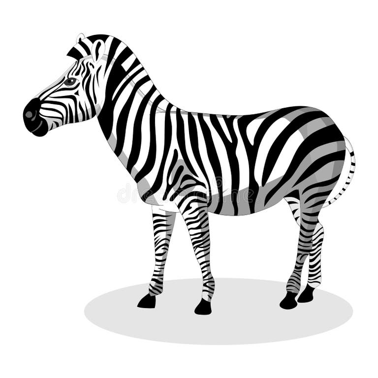 Zebra Outline Stock Illustrations – 5,537 Zebra Outline Stock ...