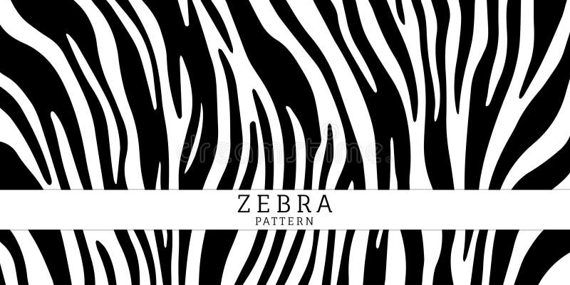Zebra striped pattern. stock vector. Illustration of curve - 350049233