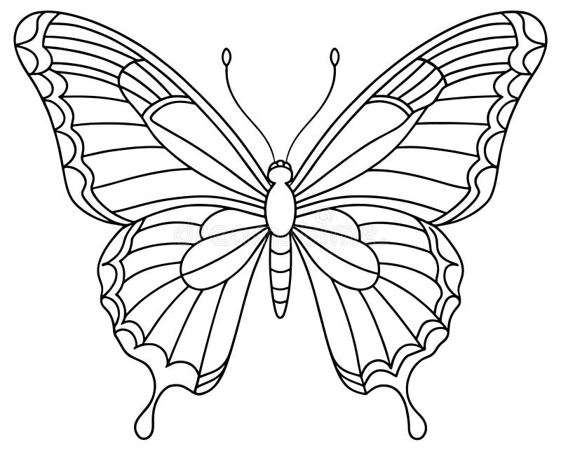 Zebraswallowtail Stock Illustrations – 5 Zebraswallowtail Stock ...