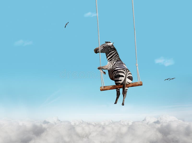 Zebra Swinging on Swing Bar Over Blue Sky with Clouds Stock Photo ...