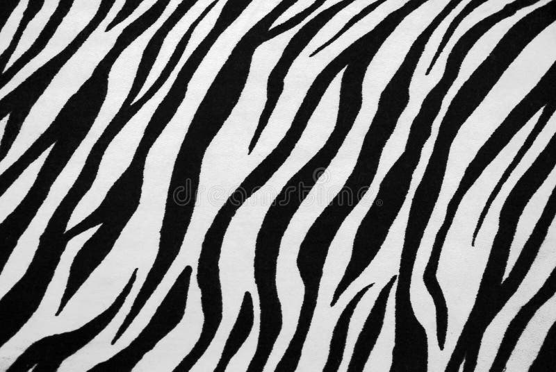 Zebra Textile Texture stock photo. Image of knitted, classical - 23996542