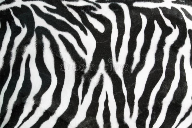 Soil stock photo. Image of green, concepts, organic, isolated - 9202090