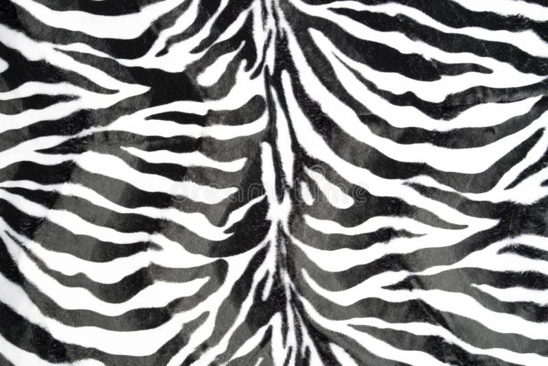 Zebra texture background stock image. Image of black - 126483365