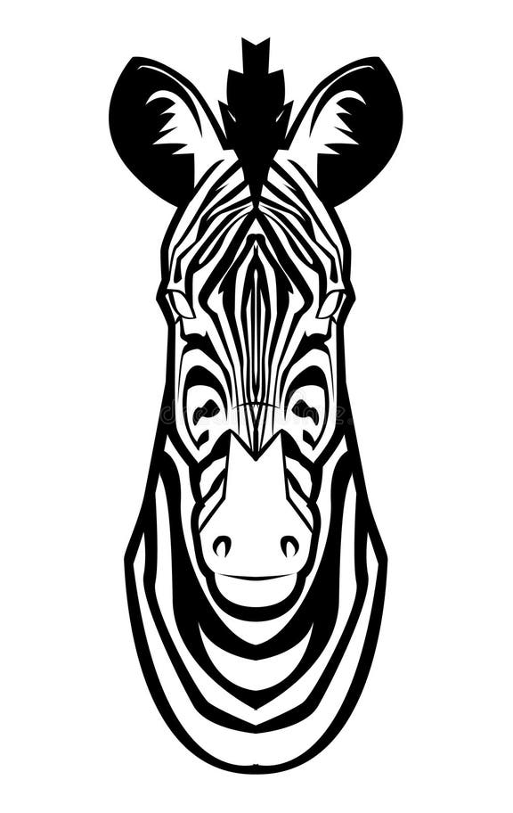 Zebra with Thin Face Black and White Illustration Stock Vector ...