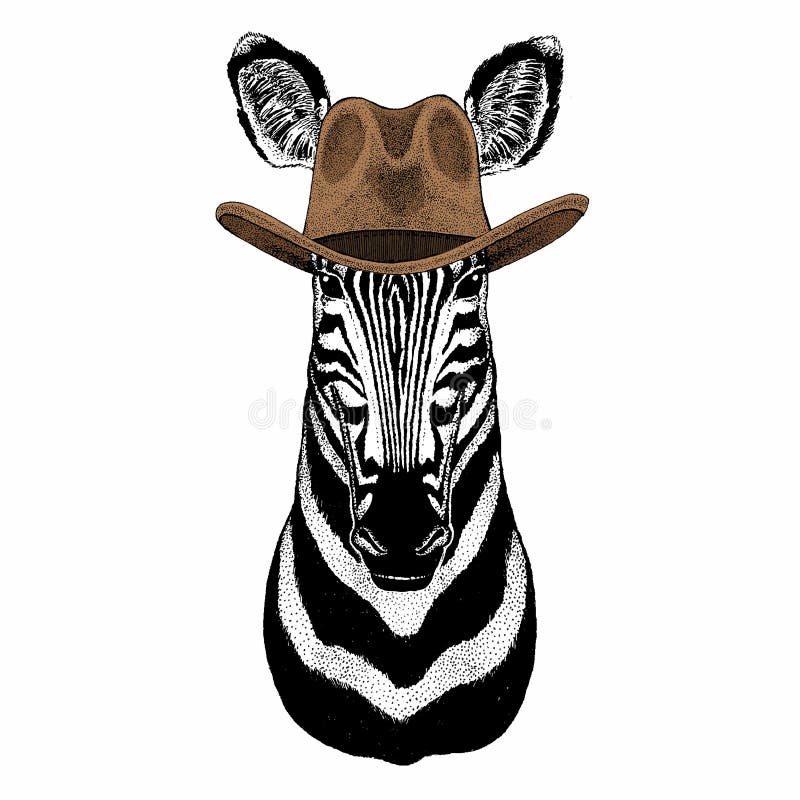 Zebra Vector Portrait. Head of African Wild Animal Zebra. Stock ...