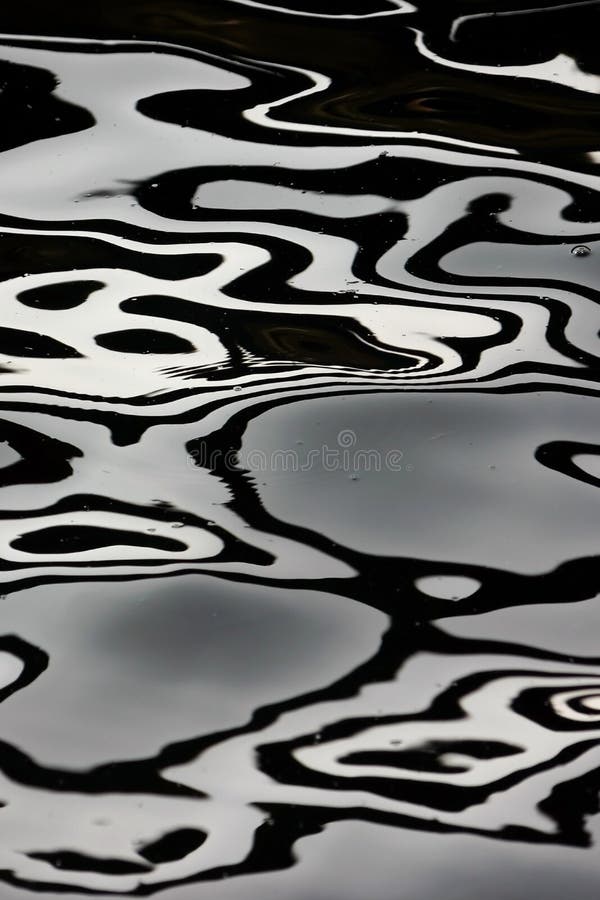 Zebra water reflection I stock image. Image of pattern - 42564871