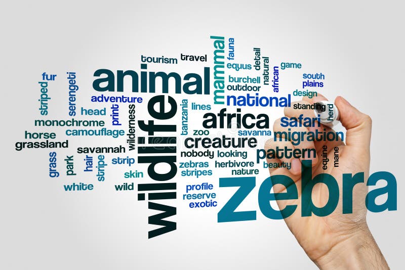 Zebra Word Cloud Stock Photos - Free & Royalty-Free Stock Photos from ...