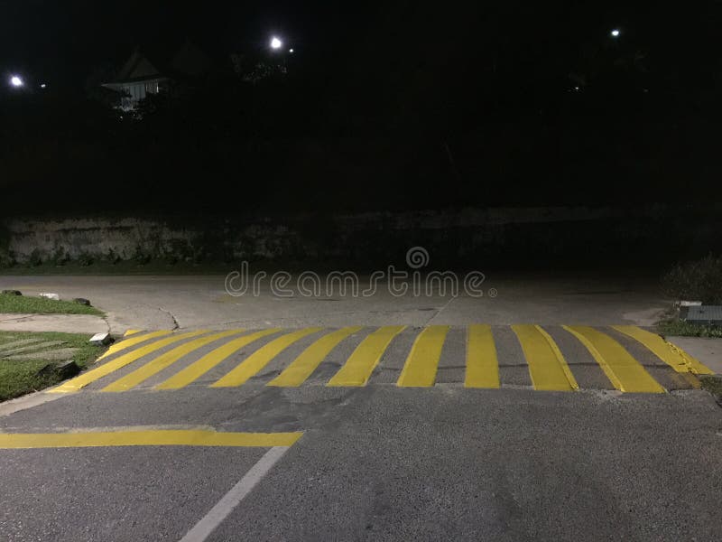 Zebracross stock photo. Image of zebra, cross, yellow - 228771022