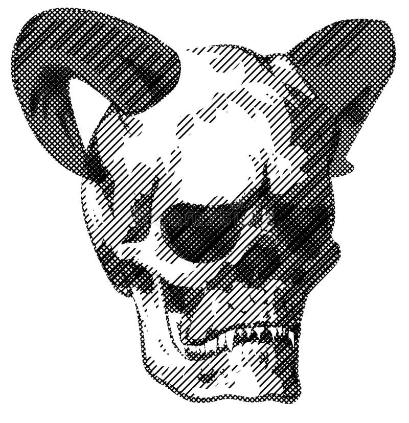 Heel Boze Schedel Demon Met Horens En Dode Ogen Voor De Halween Vector Illustratie ...