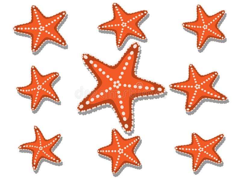 Zeester vector illustratie. Illustration of exotisch - 40258506