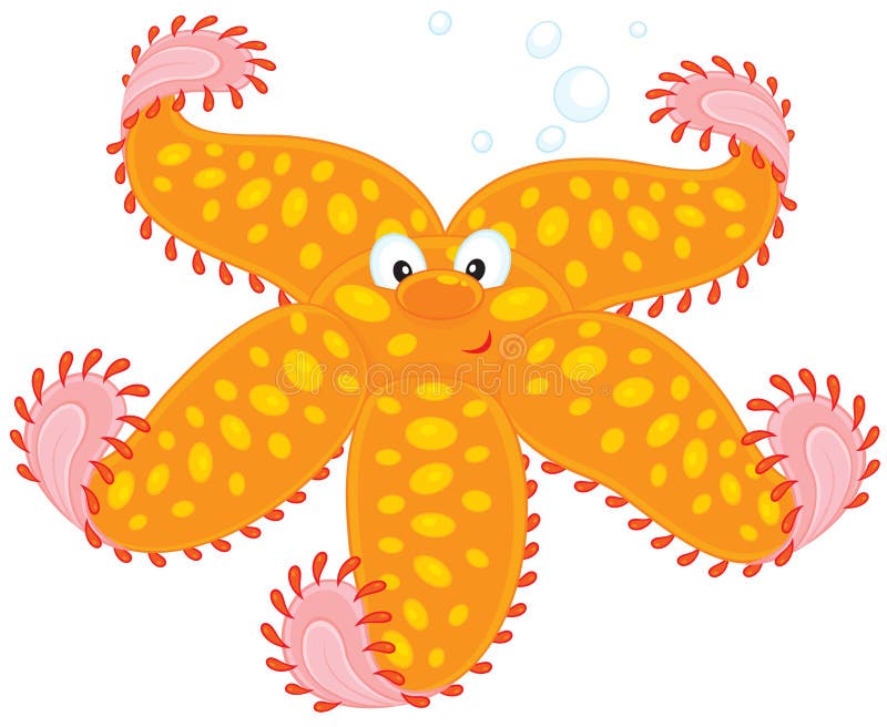 Zeester vector illustratie. Illustration of kussen, dier - 22592739