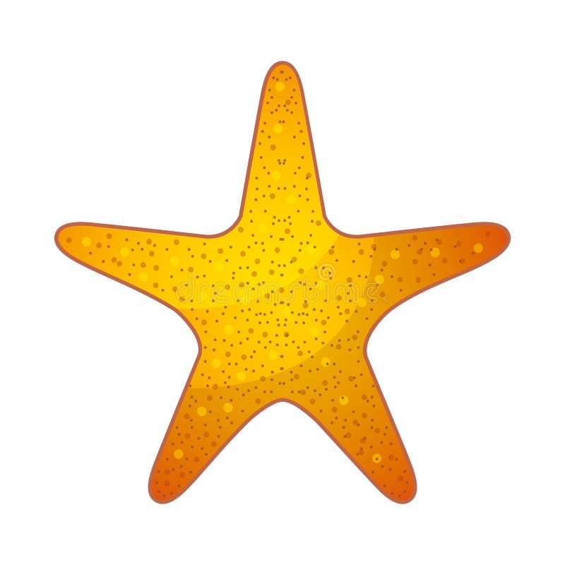 Zeester Tropisch Geïsoleerd Pictogram Vector Illustratie - Illustration ...