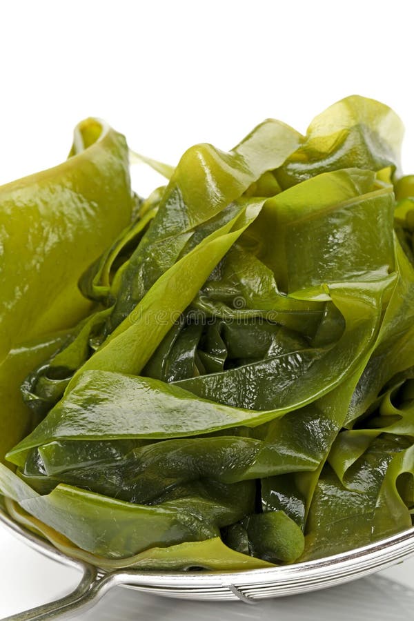 Zeewier stock afbeelding. Image of overzees, voedsel - 33586969