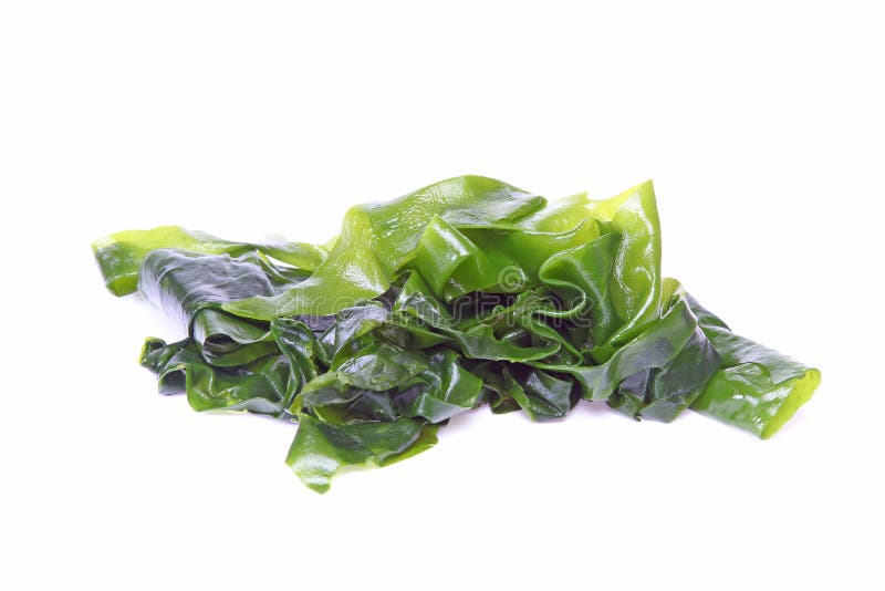 Zeewier Op Een Witte Achtergrond Stock Afbeelding - Image of voedsel ...