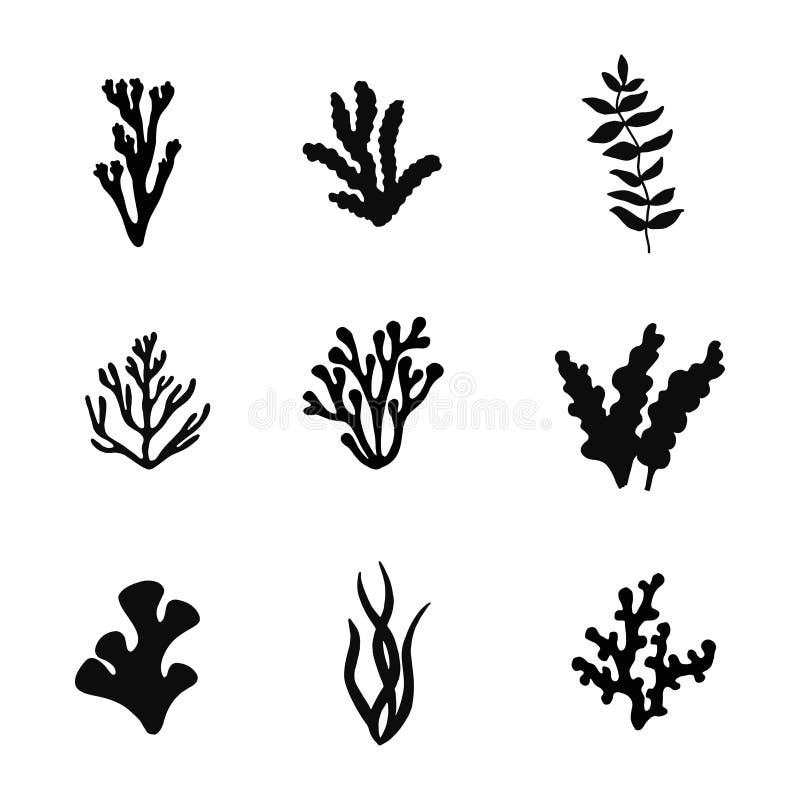 Zeewier Naadloos Patroon Van Het Overzeese De Vectorachtergrond ...