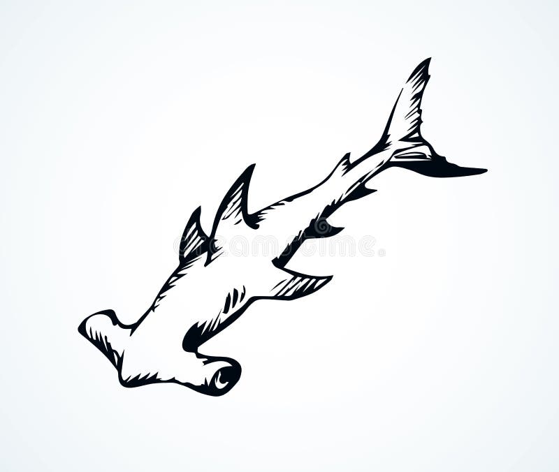 Zeewier Vector tekening vector illustratie. Illustration of hoofd ...