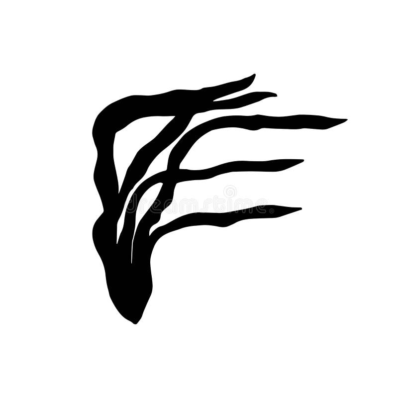 Tekening Van De Zeewier De Vectorhand Vector Illustratie - Illustration ...