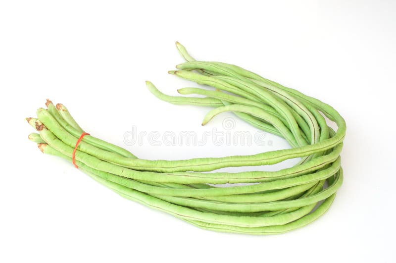 Zeichenkettebohne stockbild. Bild von zeichenkette, nahrung - 26865997