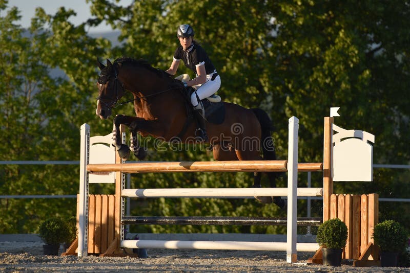 Springende Nähere Bestimmung Pferd Racing Redaktionelles Foto - Bild ...
