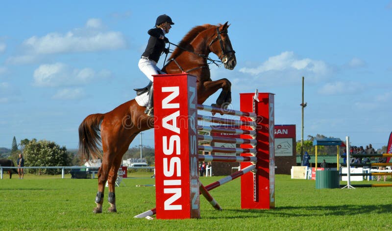 Zeigen Sie Springendes Pferd Und Mitfahrer Redaktionelles Stockfoto ...