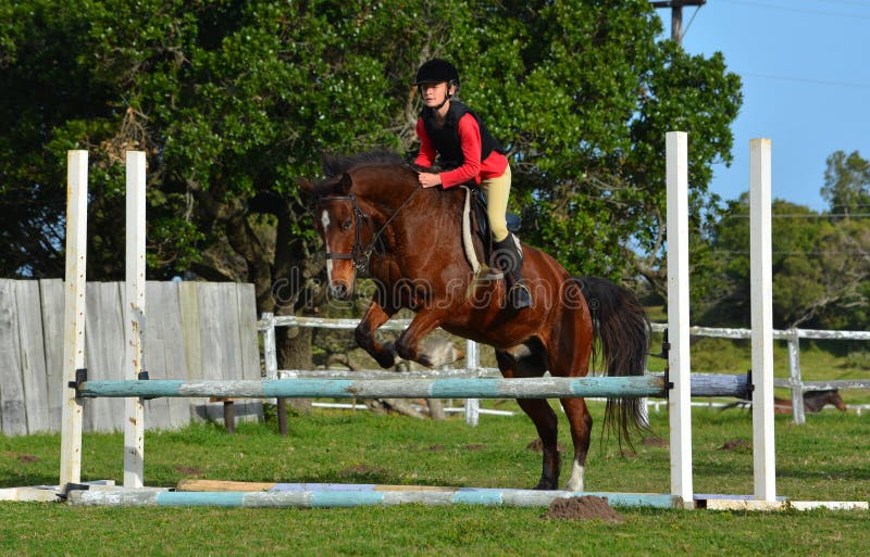 Zeigen Sie Springendes Mädchen Und Pony Stockfoto - Bild von hürde ...