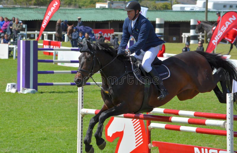 Zeigen Sie Springendes Pferd Und Mitfahrer Redaktionelles Stockfoto ...
