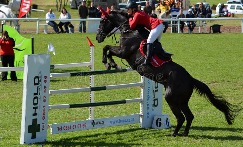 Zeigen Sie Springendes Pferd Und Mitfahrer Redaktionelles Bild - Bild ...