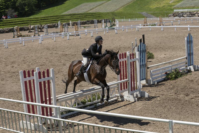 Zeigen Sie Springendes Pferd Und Mitfahrer Redaktionelles Bild - Bild ...
