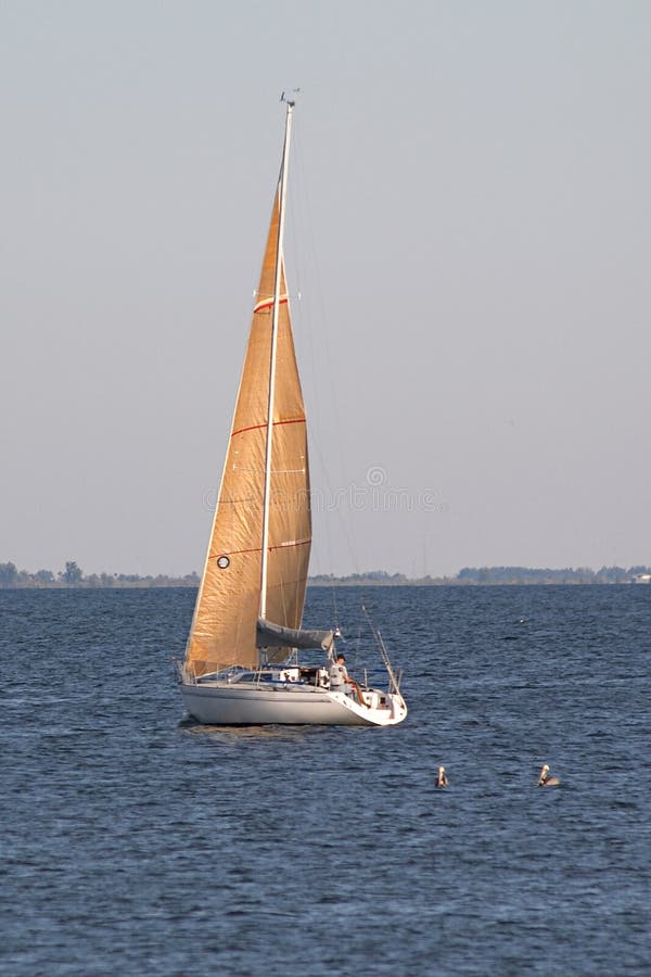 Zeilboot 2 stock afbeelding. Image of zeelieden, zeeman - 143099