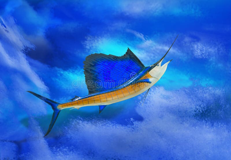 1,953 Zeilvis de Foto's van de Voorraad - de Vrije & Royalty-Vrije Foto ...