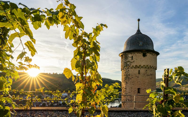 Zell with Moselle River, Germany Stock Image - Image of destination ...