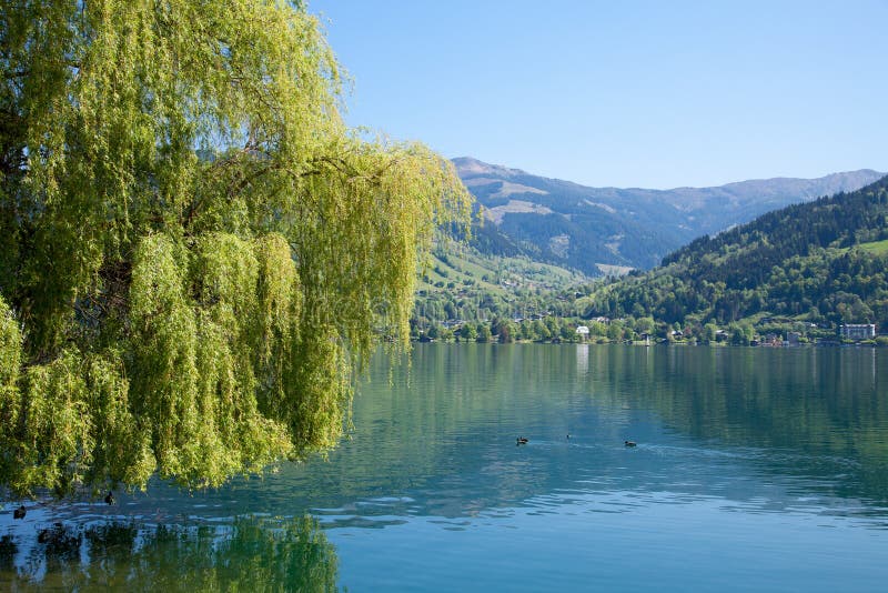 Zell am See, Austria stock image. Image of duck, panorama - 24628109