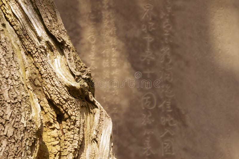 Zen abstract stock image. Image of characters, nature - 27213171
