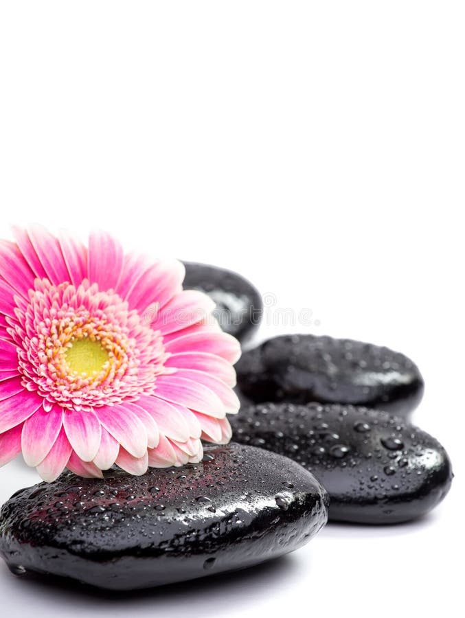 Zen Basalt Stones and Daisy Stock Image - Image of massage, concept ...