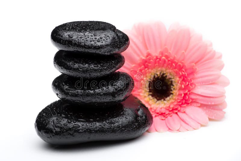 Zen Basalt Stones and Daisy Stock Image - Image of massage, concept ...